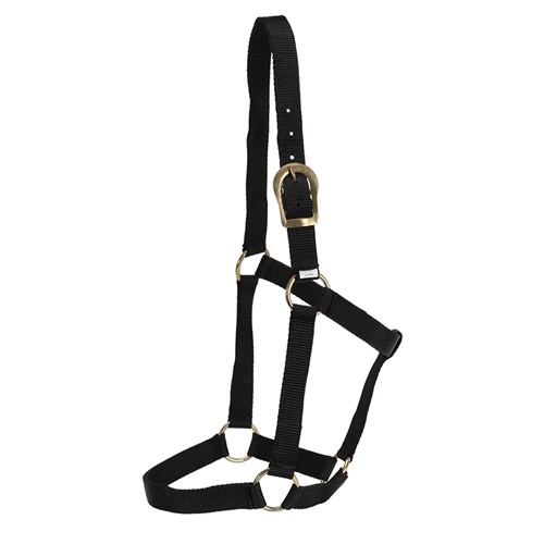 GG stable halter - Butet Saddles, Dyon Equestrian Equipment - Kelvin ...