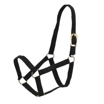 GG stable halter - Butet Saddles, Dyon Equestrian Equipment - Kelvin ...