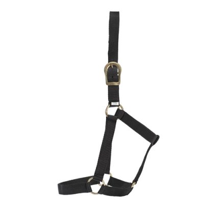 GG stable halter - Butet Saddles, Dyon Equestrian Equipment - Kelvin ...